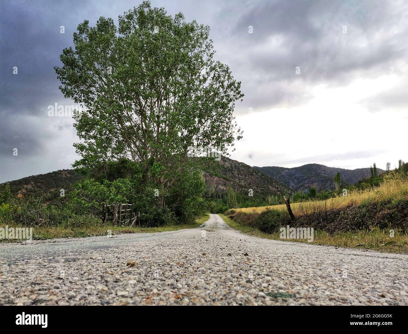 Way. Country road. Parkway. View. Background Stock Photo - Alamy