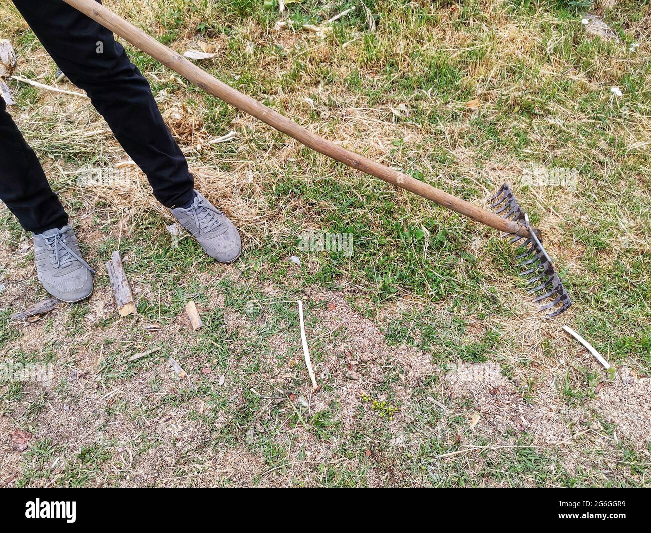 A man pulling a rake. The farmer is pulling a rake Stock Photo - Alamy