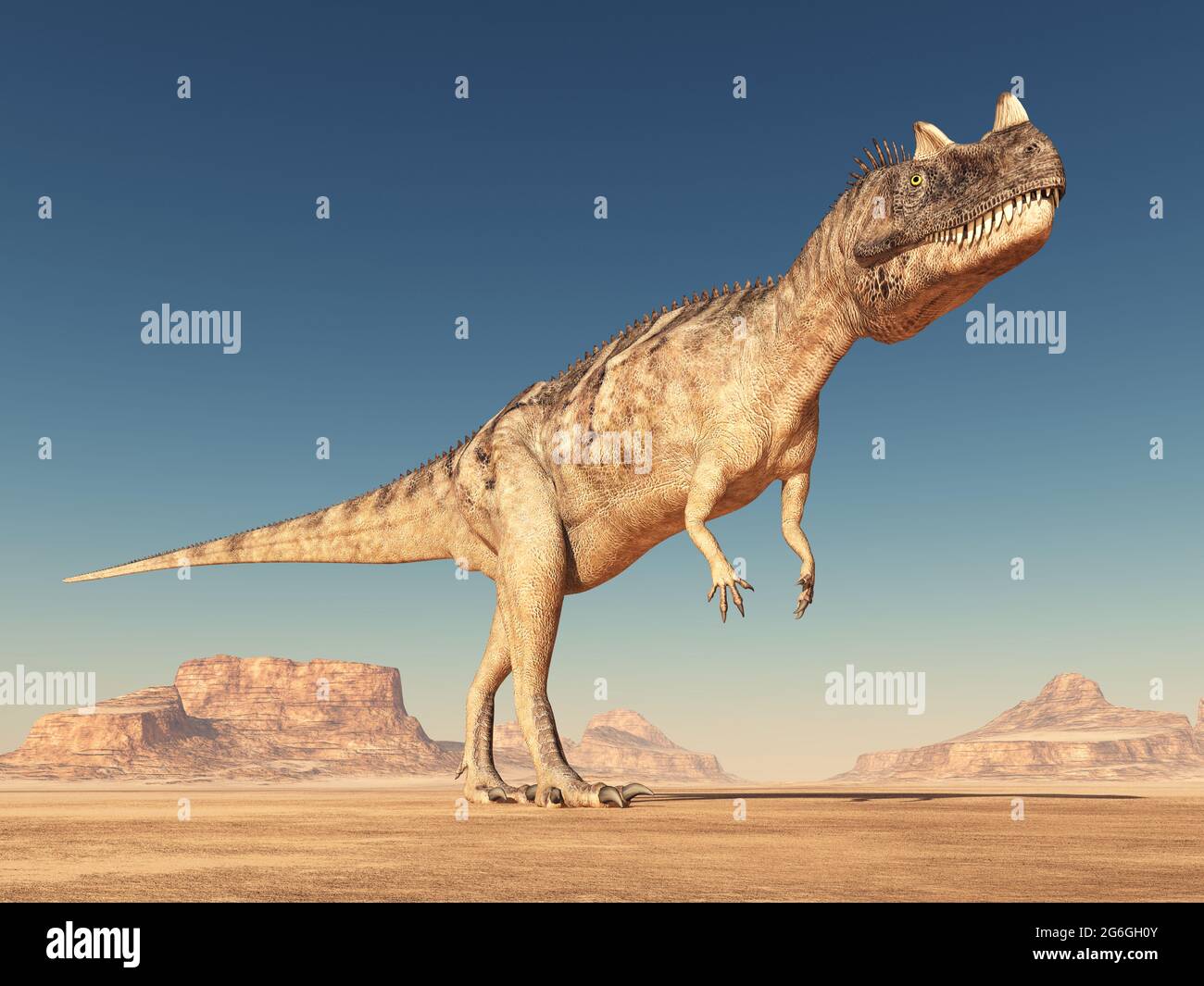 Dinosaur Ceratosaurus in a desert Stock Photo - Alamy