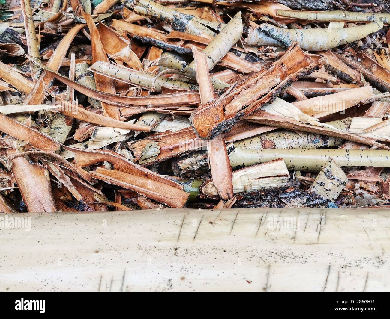 Tree bark. Bark from trees. Shells to be burned Stock Photo - Alamy