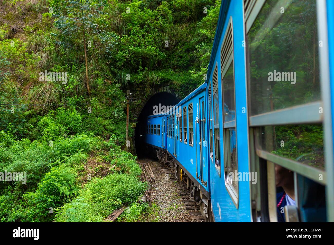 A blue passenger train moves through the jungle of Sri Lanka Stock ...