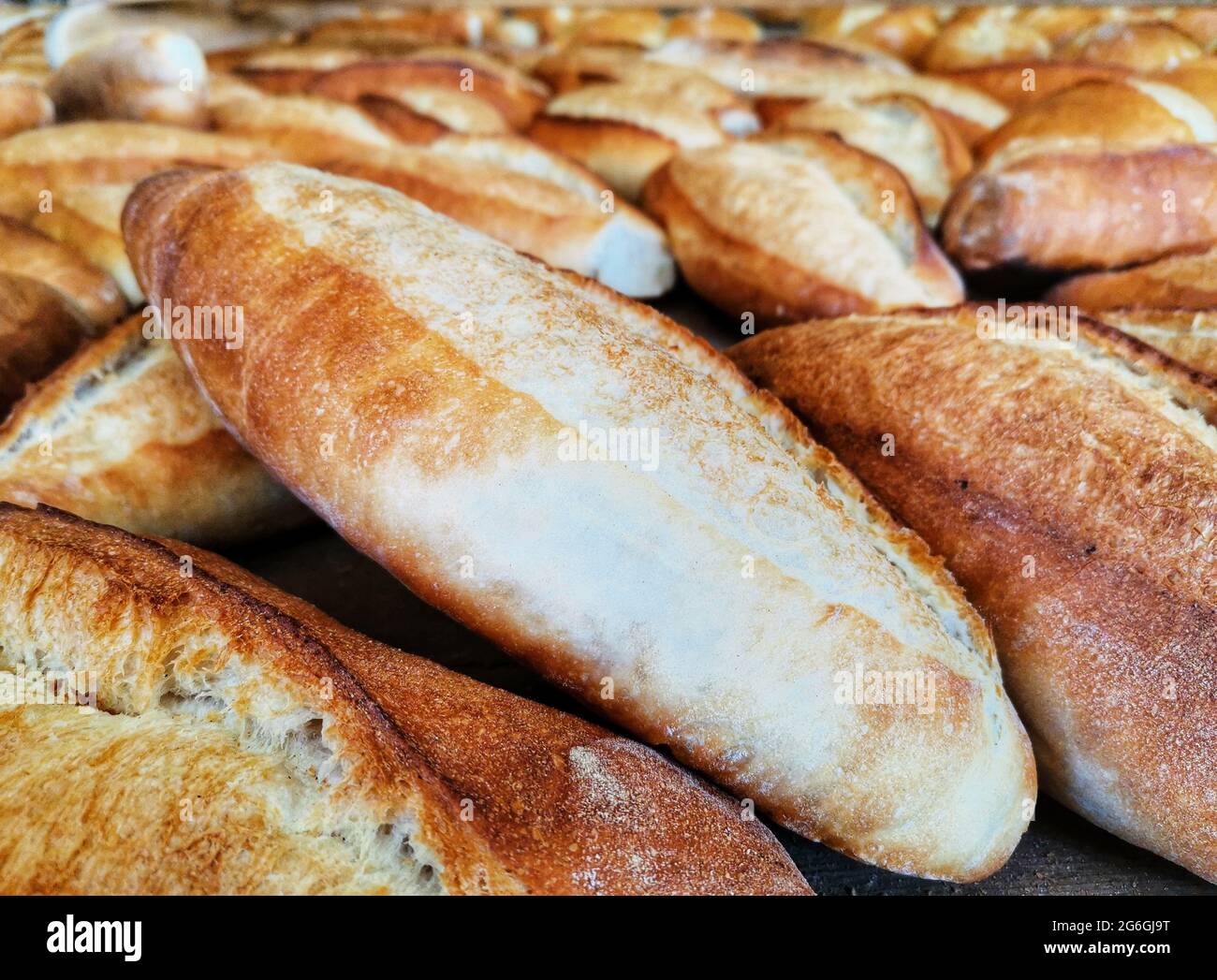 Fresh cereal breads ears hi-res stock photography and images - Alamy