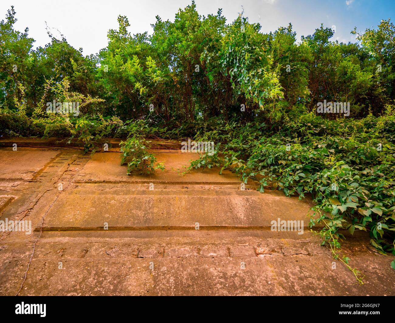 Creepers architecture hi-res stock photography and images - Alamy
