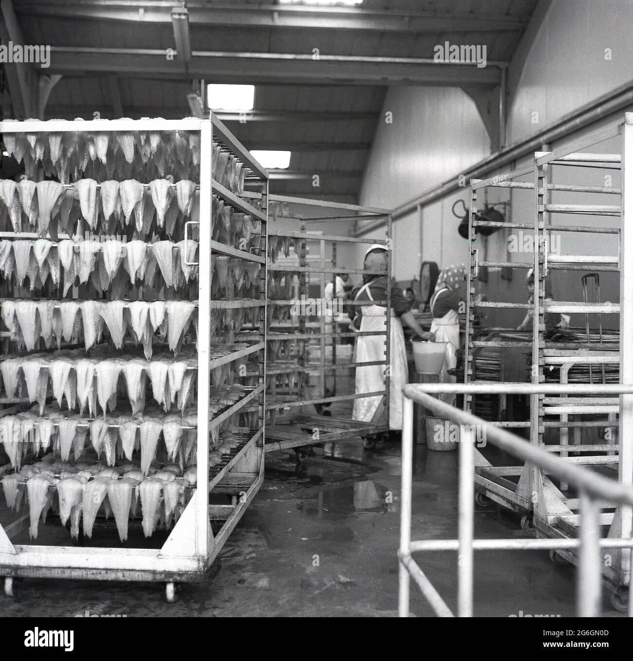 1960s, historical, female workers inside inside a fish processing ...