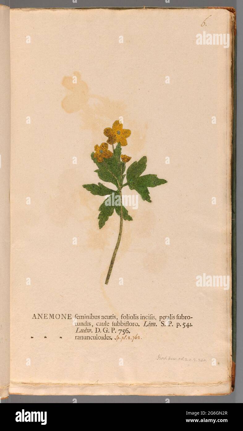 Lily gottfried hi-res stock photography and images - Alamy