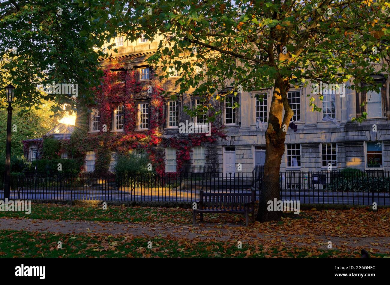 red ivy queens square bath Stock Photo - Alamy