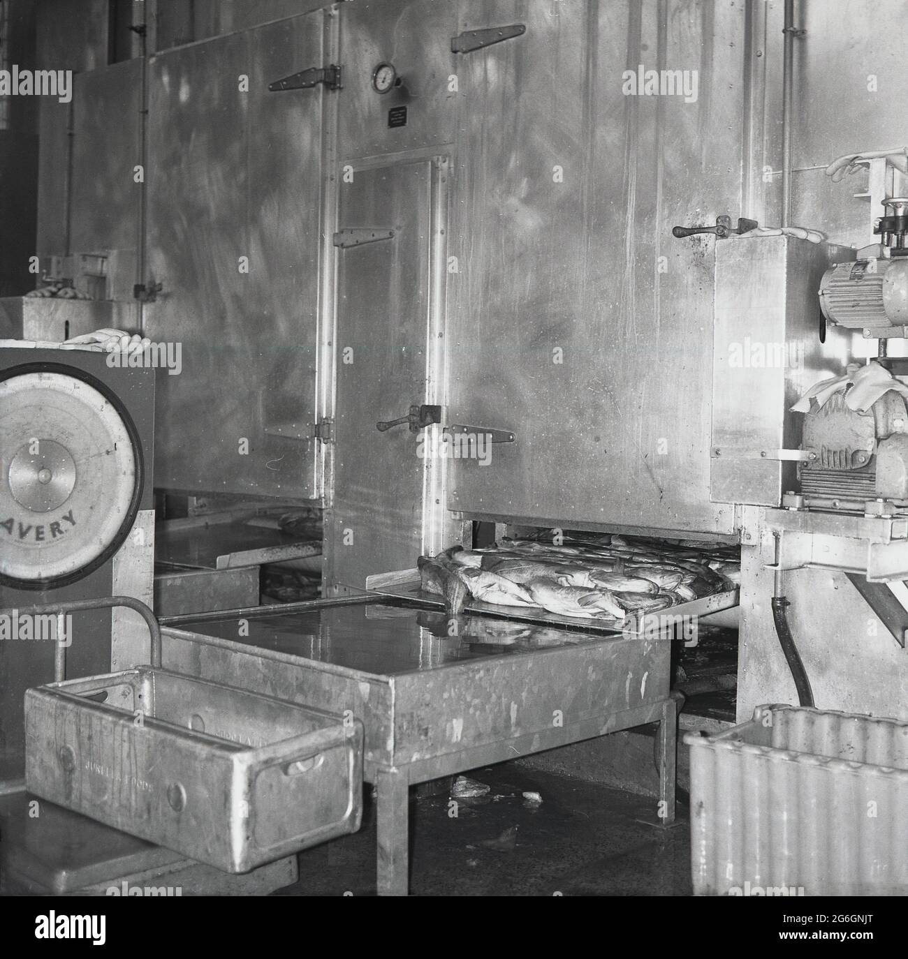 1960s, historical, fish processing, Hull, England, UK, raw fish on ...