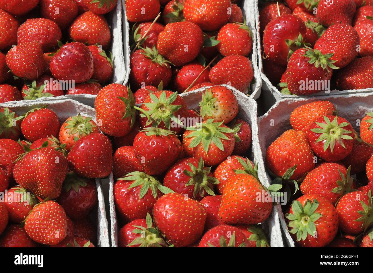 Copenhagen, Denmark. 06 July 2021,Females shopping fresh strawberry at ...