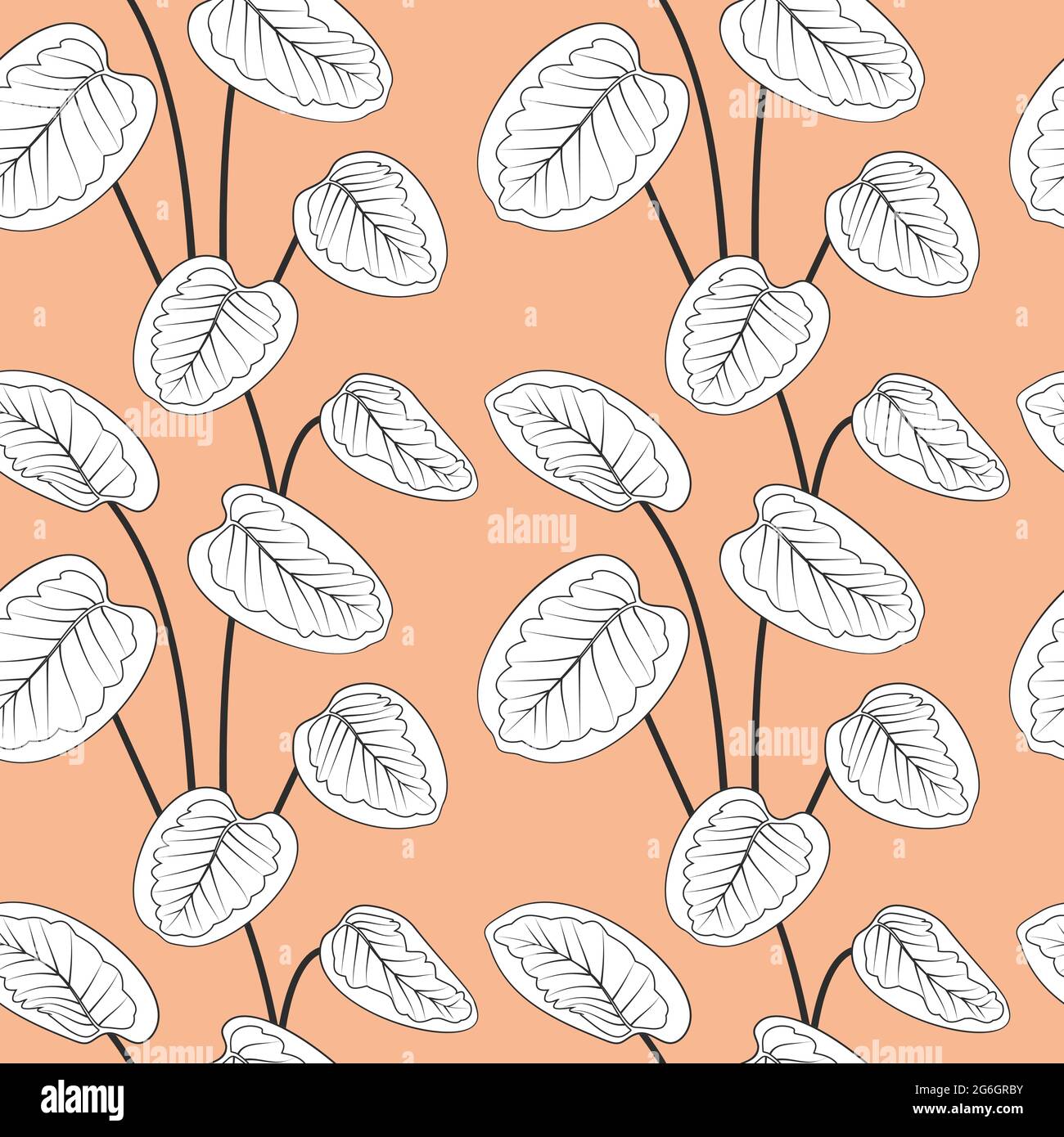 Tropical white calathea leaves black outline drawing seamless pattern ...