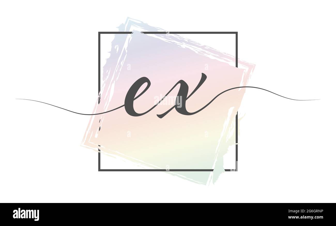 Calligraphic lowercase letters EX in a single line on a colored ...