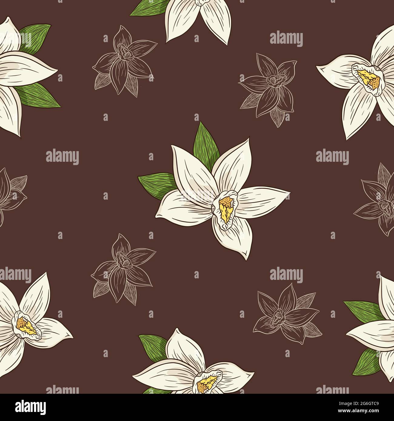 Hand Drawn Vanilla Flowers in Vintage Style Seamless Pattern. Line ...