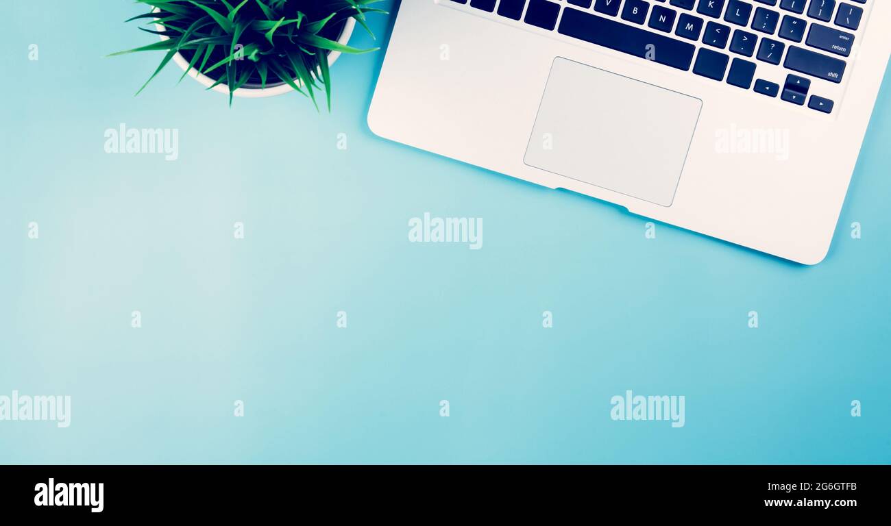 Flat lay of Laptop computer and plant on desk in office, workplace and ...