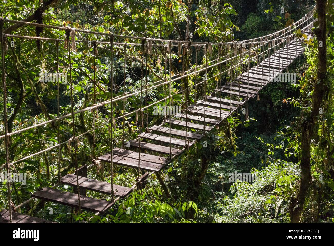 Monteverde hanging bridges hi-res stock photography and images - Alamy