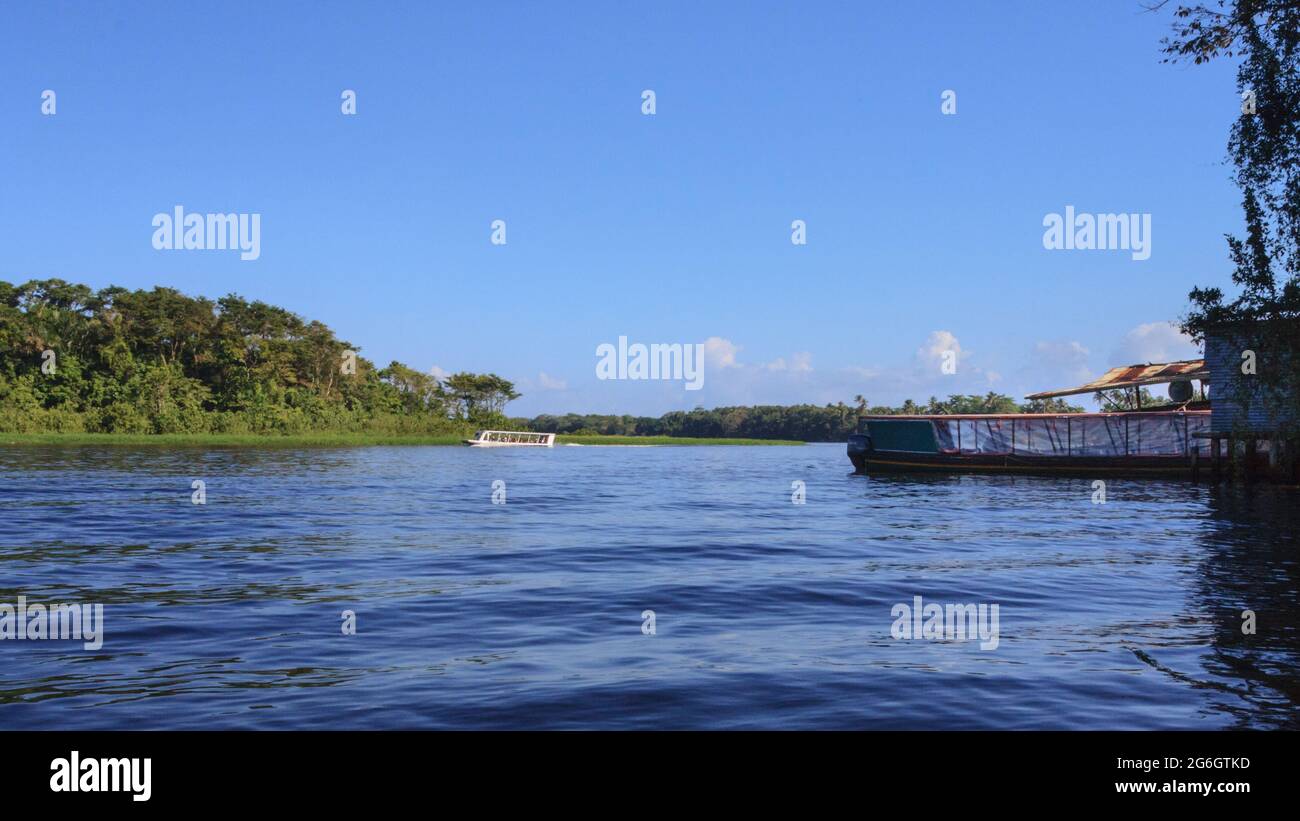 Tour boat on a freshwater river in Tortugero National Park, Limon ...