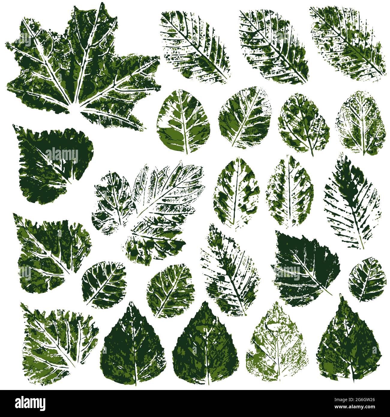 Collection of autumn or spring green leaves. Set of vector drawings ...