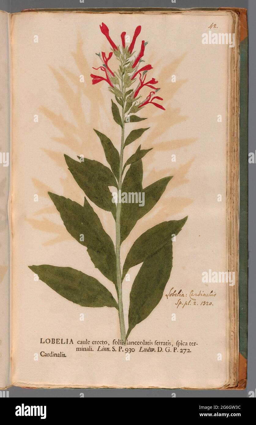 Lily gottfried hi-res stock photography and images - Alamy