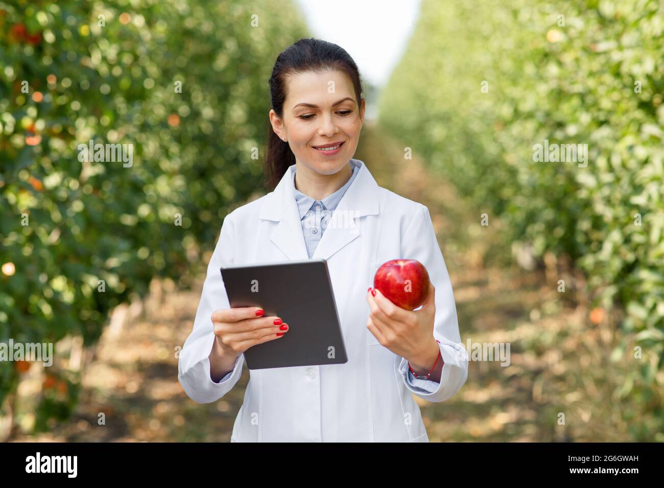 Young farmer checks orchard hi-res stock photography and images - Alamy