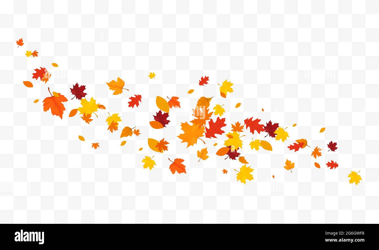 Autumn falling leaves isolated on white background. Autumn background ...