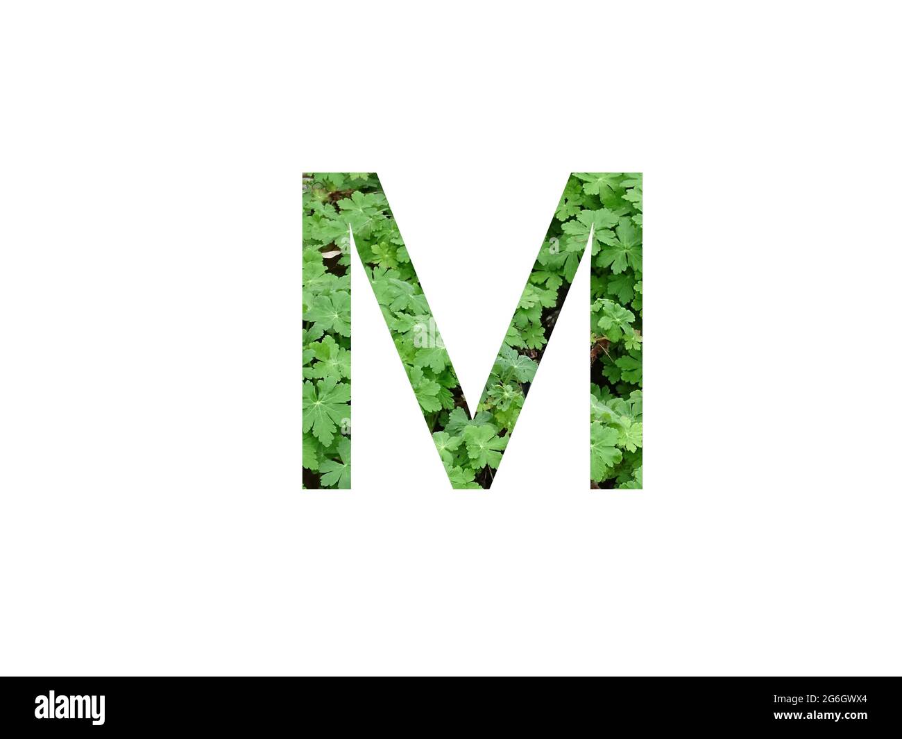 Letter m logo hi-res stock photography and images - Alamy