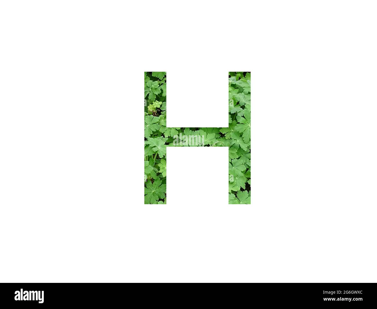 Floral font letter h hi-res stock photography and images - Alamy