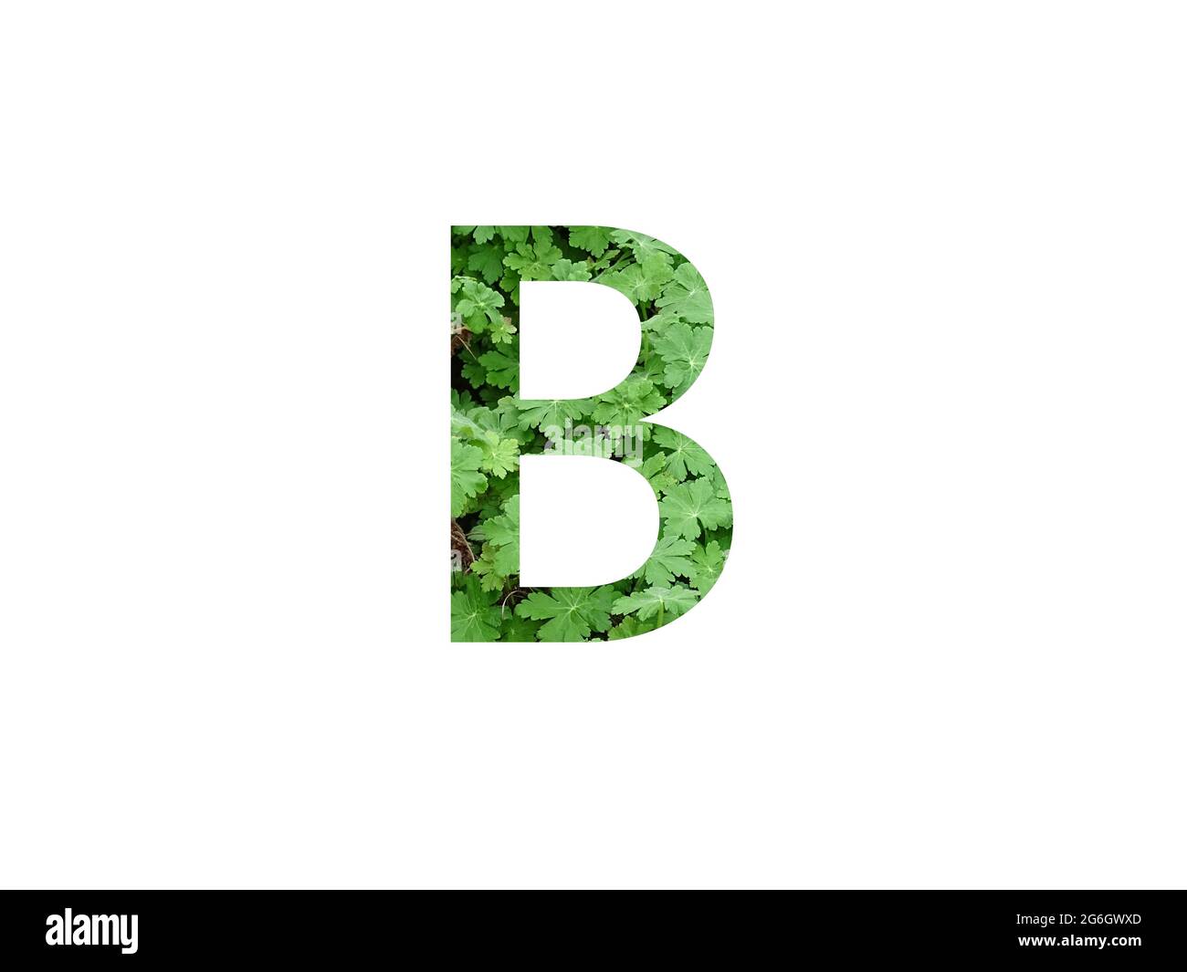 Leaf b store