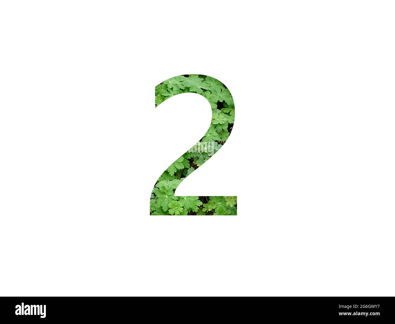 Number 2 of the alphabet made with green leaf of geranium plant ...