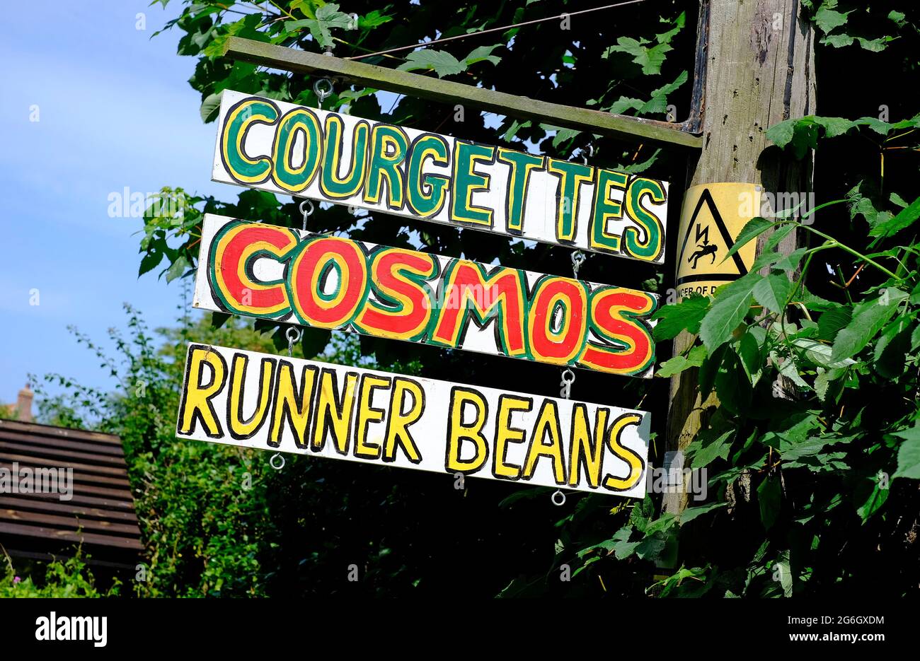 courgettes, cosmos, runner beans sign outside garden, north norfolk ...