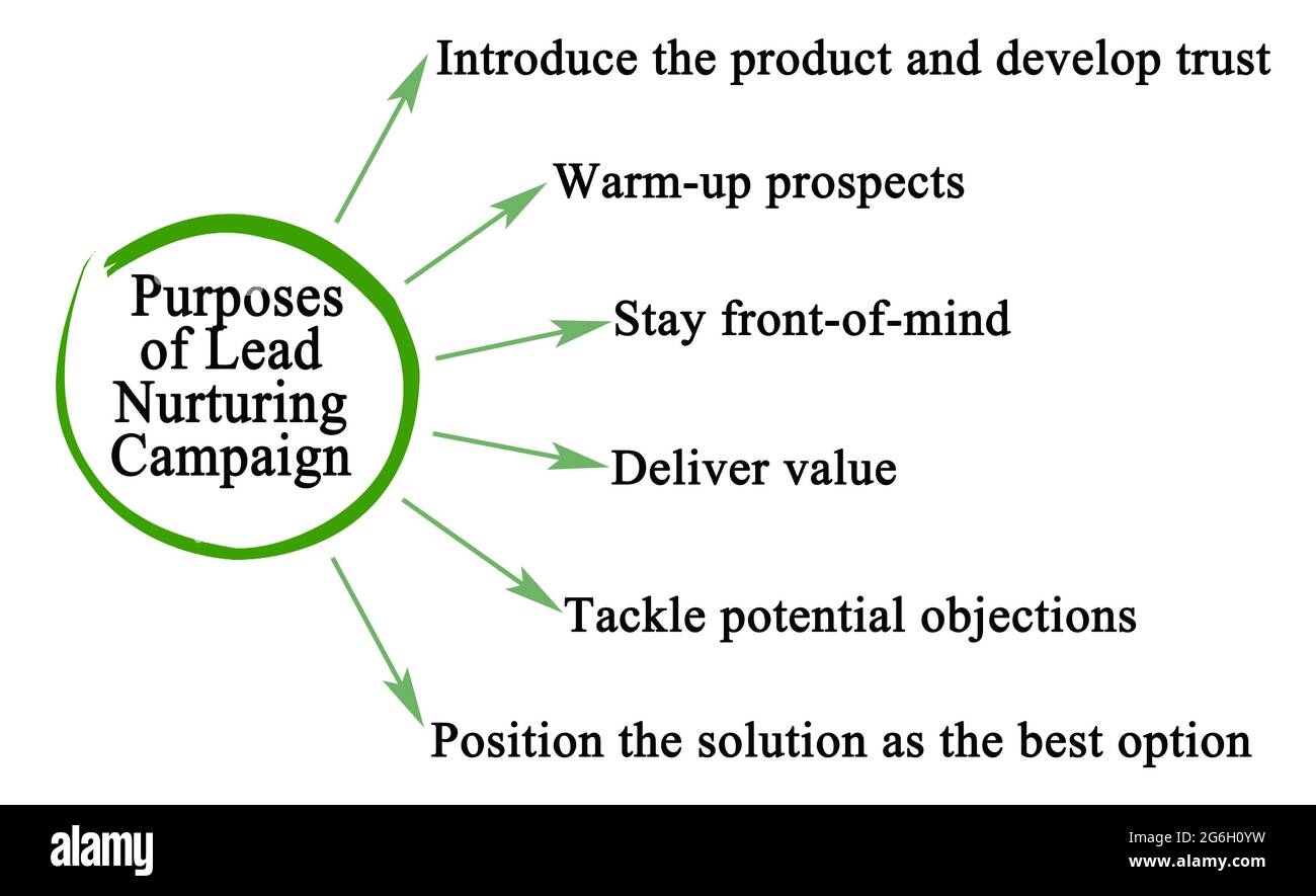 Components of Lead Nurturing Campaign Stock Photo - Alamy