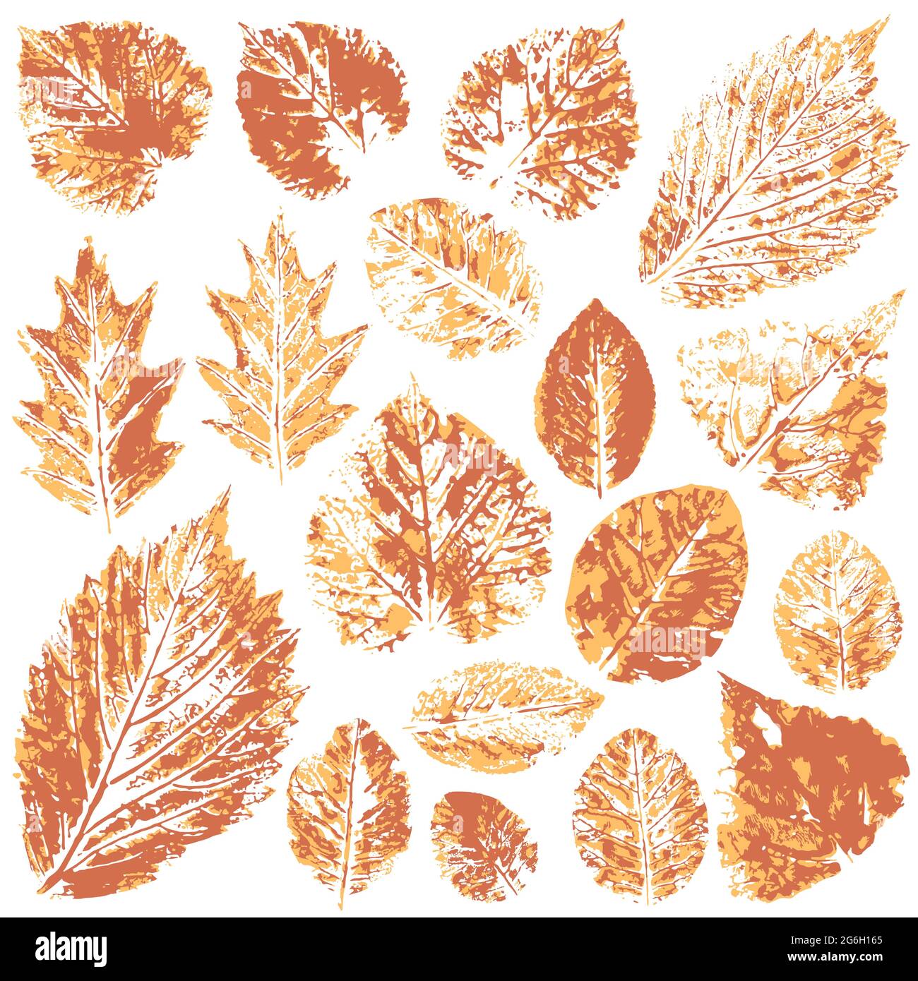 Collection of autumn leaves in orange. Two-tone prints of paint. Set of ...