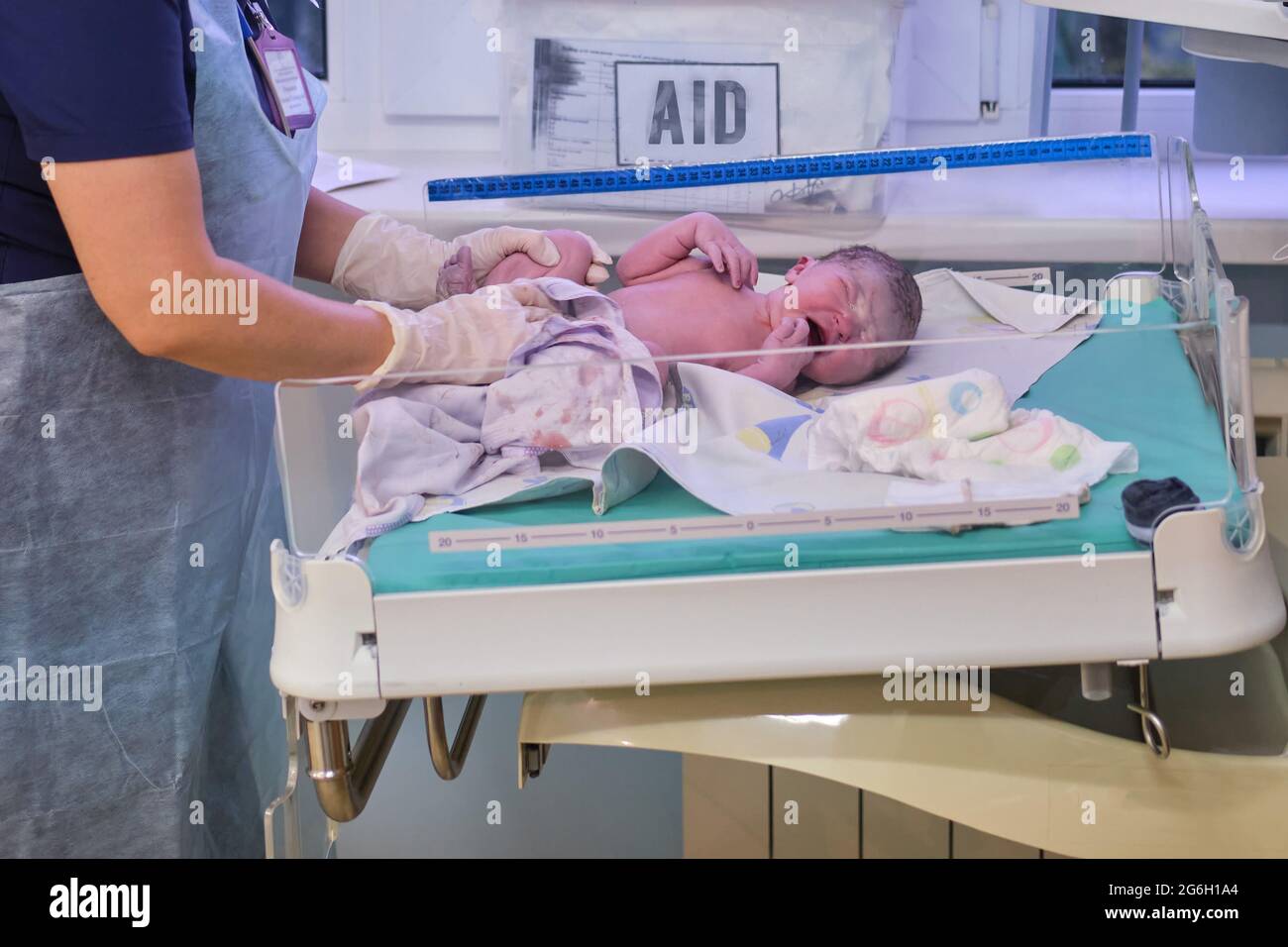 A newborn baby is examined by a doctor after childbirth. Checking the ...
