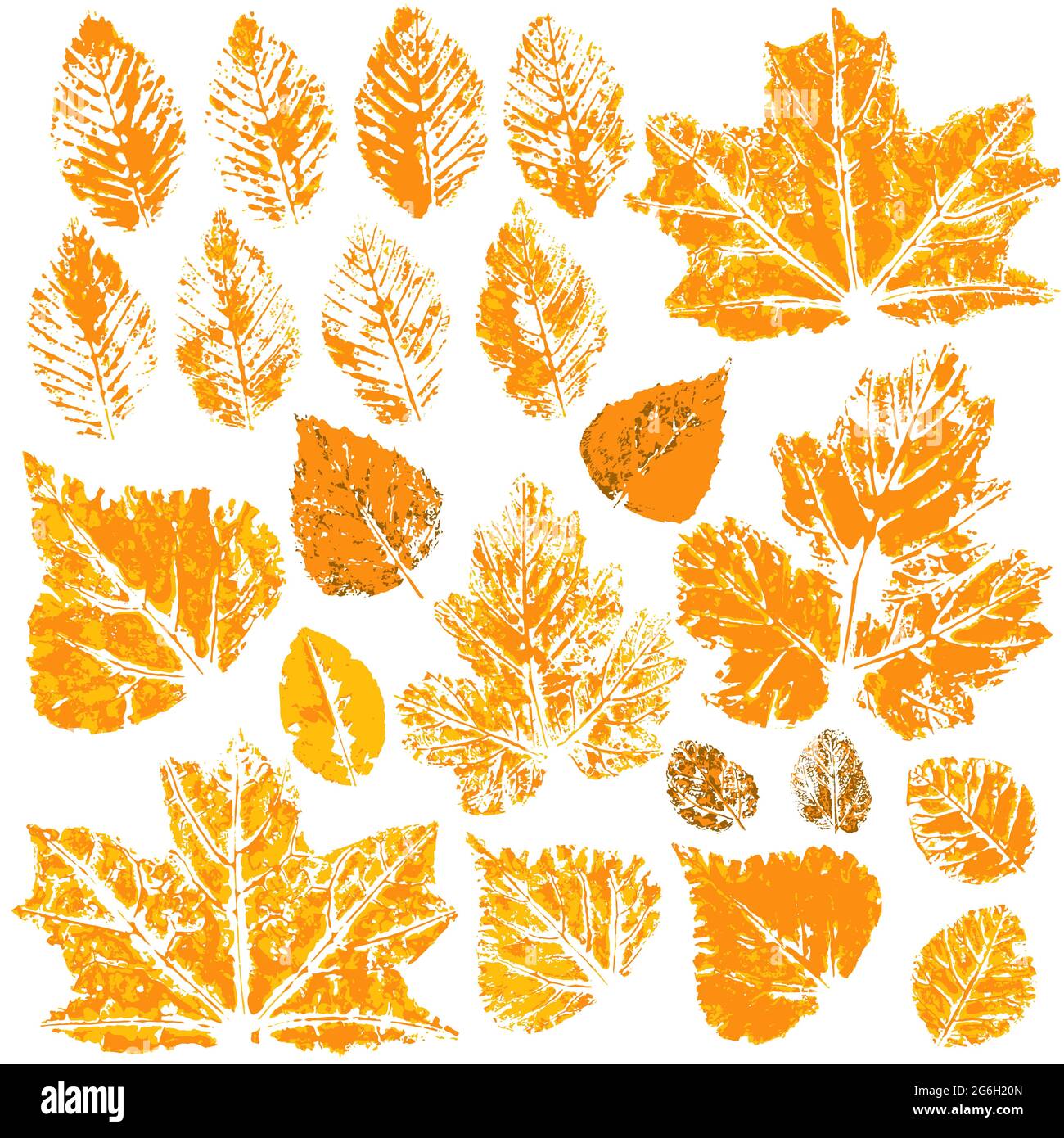 Collection of autumn leaves in orange. Two-tone prints of paint. Set of ...