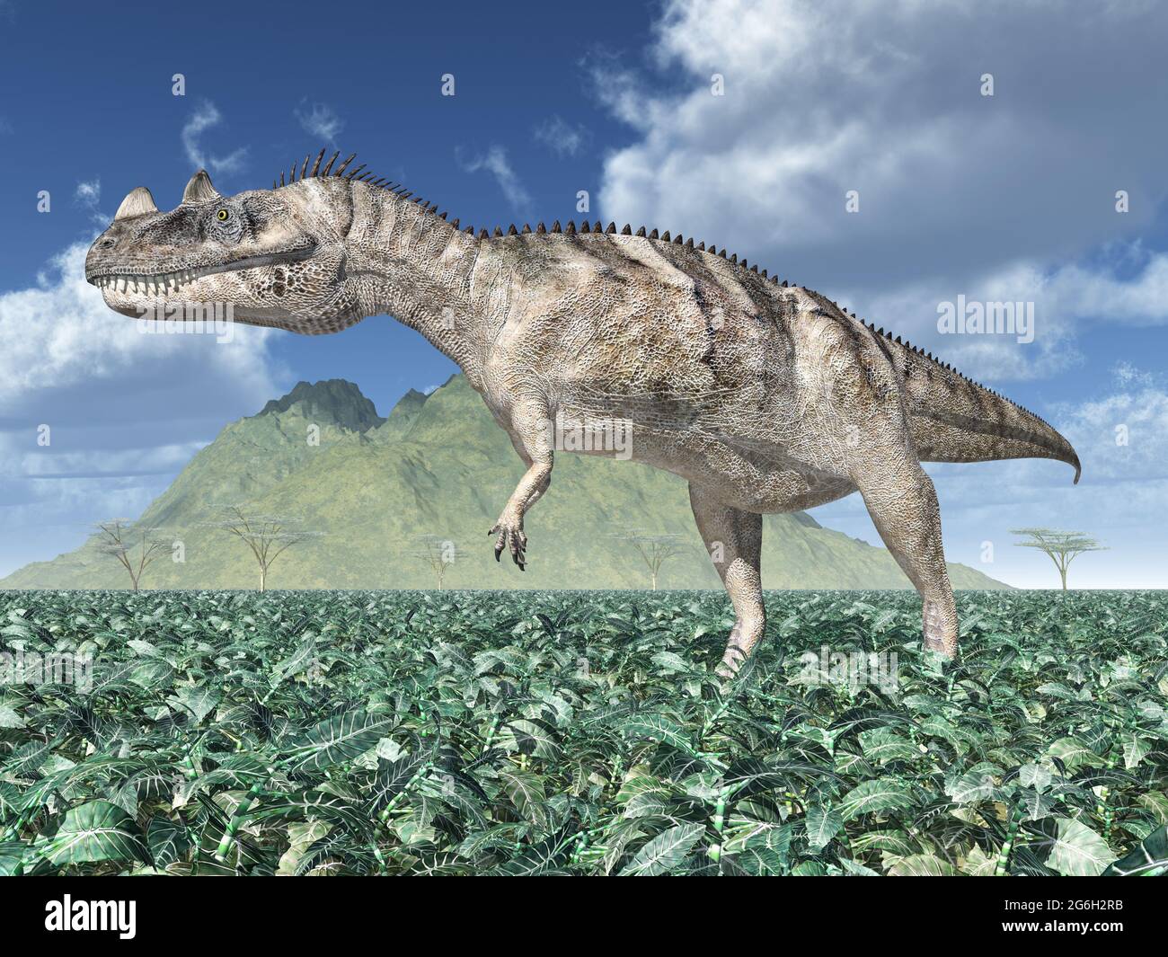Dinosaur Ceratosaurus in a landscape Stock Photo - Alamy