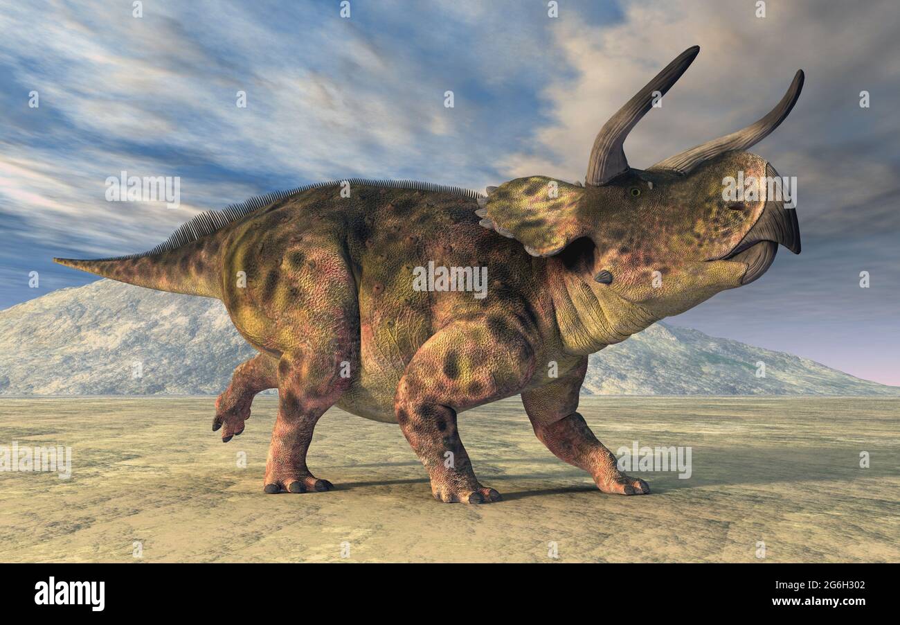 Animal saurian horn reptiles nature hi-res stock photography and images ...