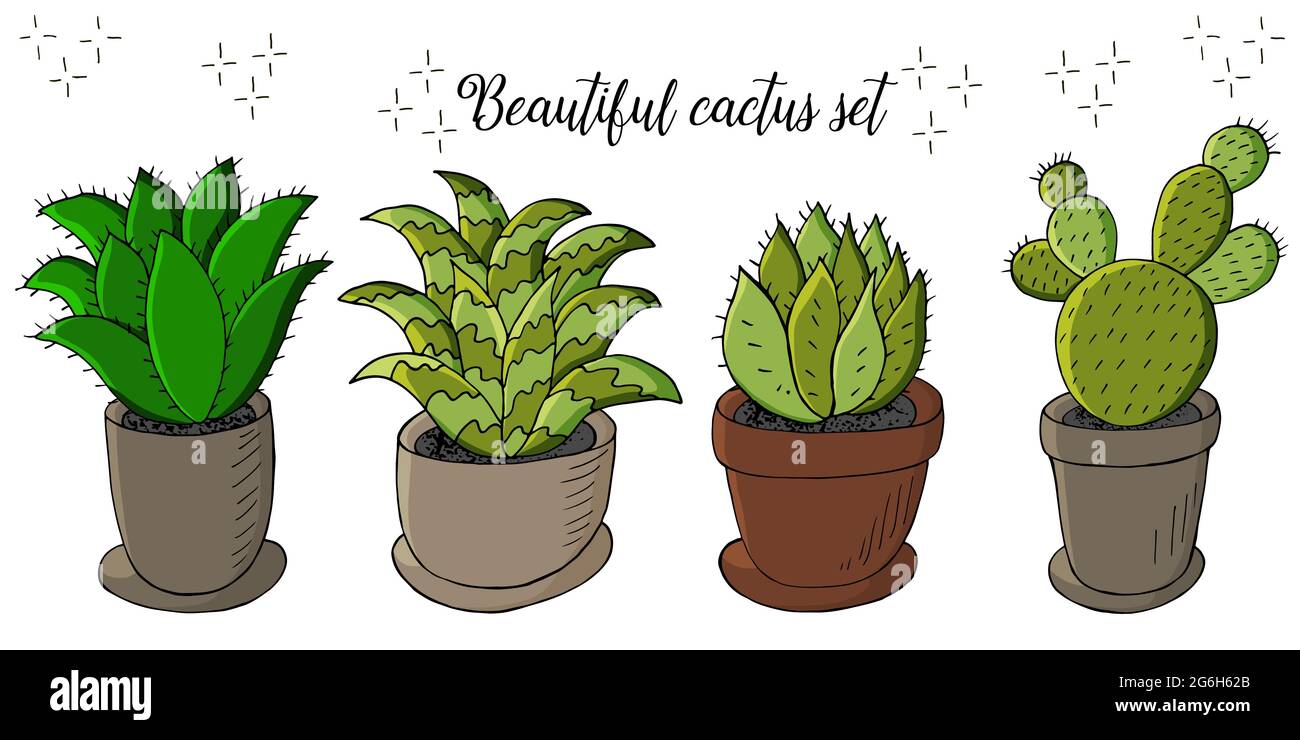 Cute vector illustration. Set of cartoon images of cacti in flower pots ...