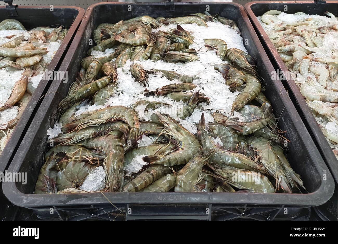 a box of prawns topped with ice at the supermarket Stock Photo - Alamy