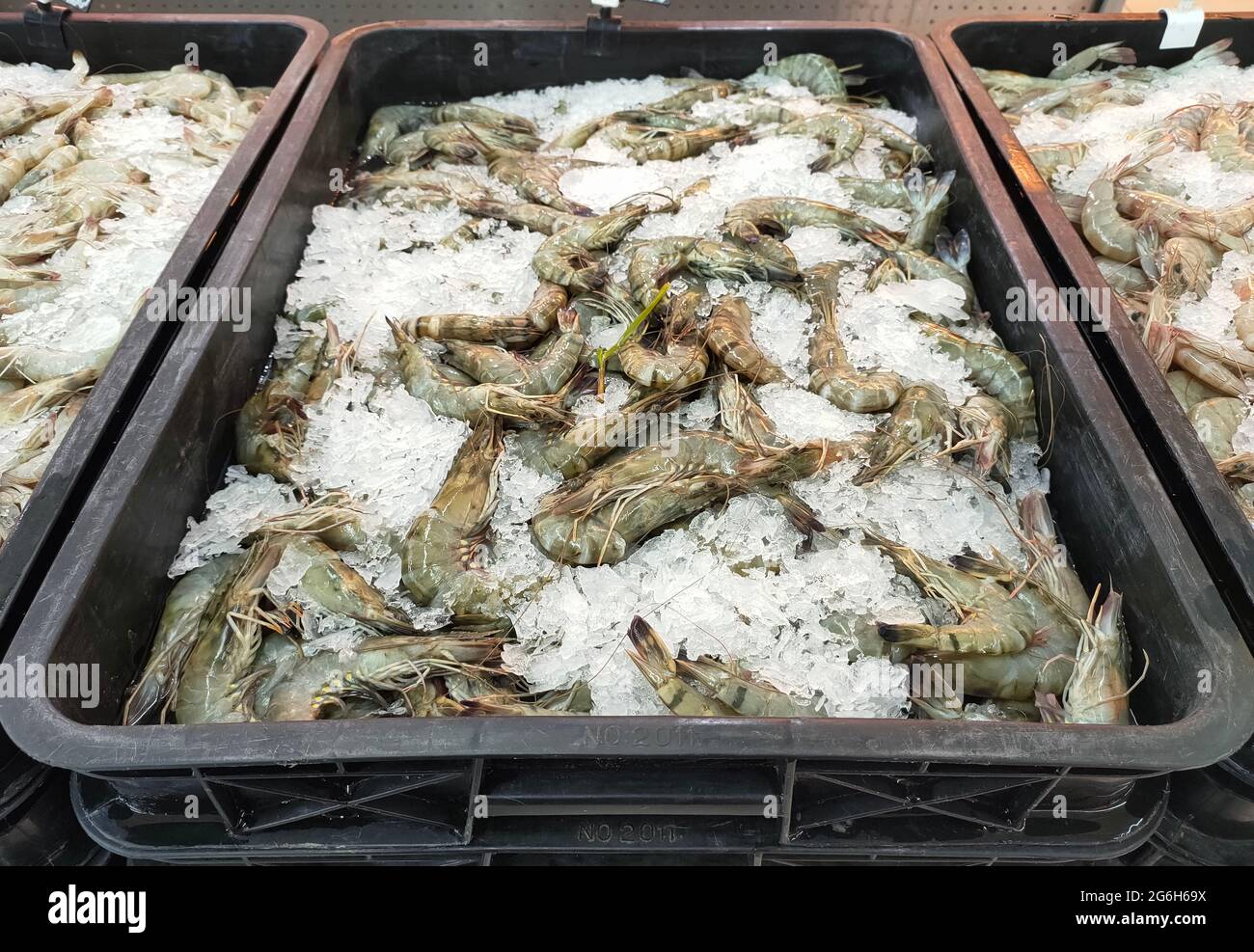Fisherman sea prawns hi-res stock photography and images - Alamy
