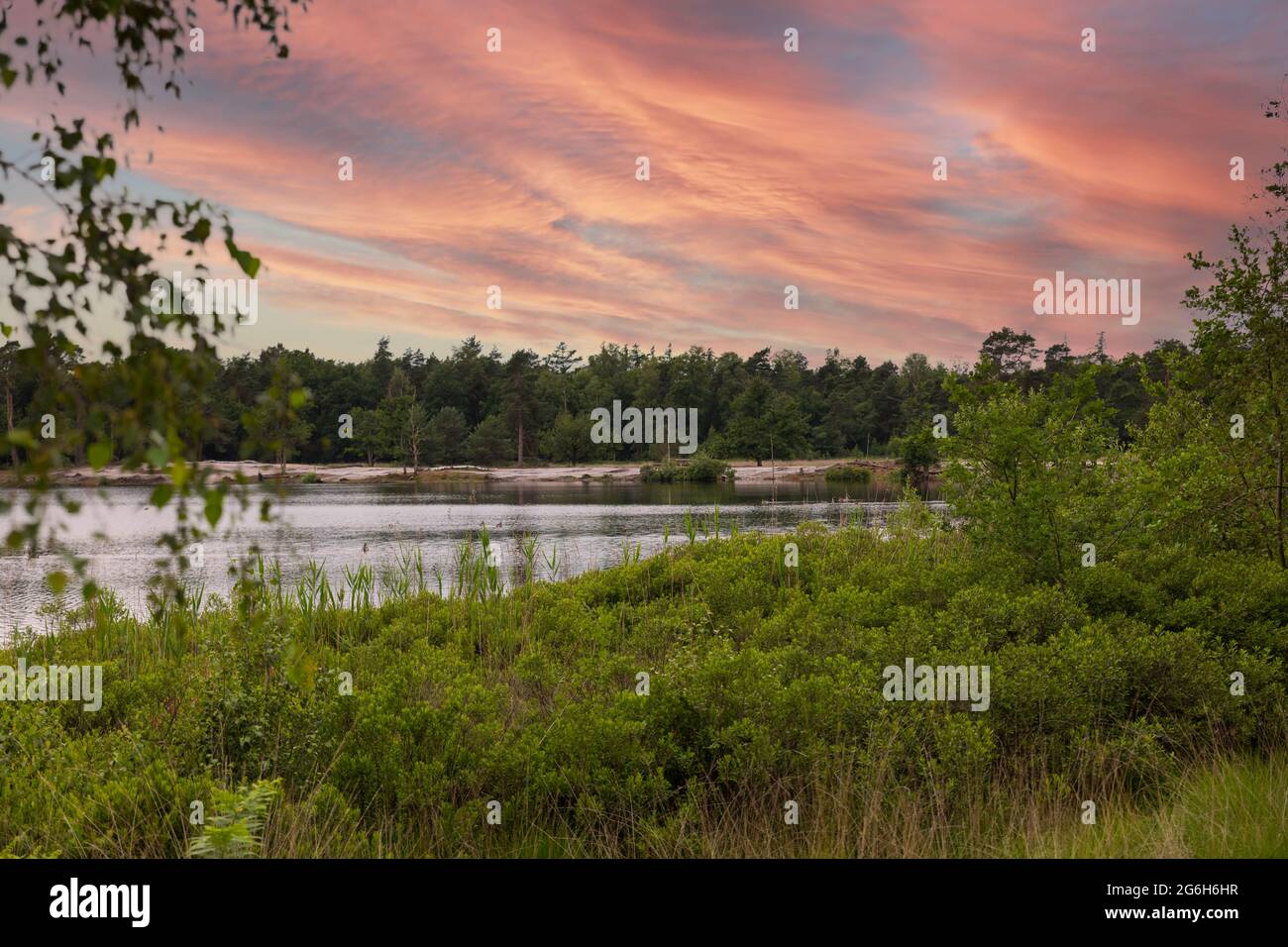 a pond with trees around and sunset sky Stock Photo - Alamy