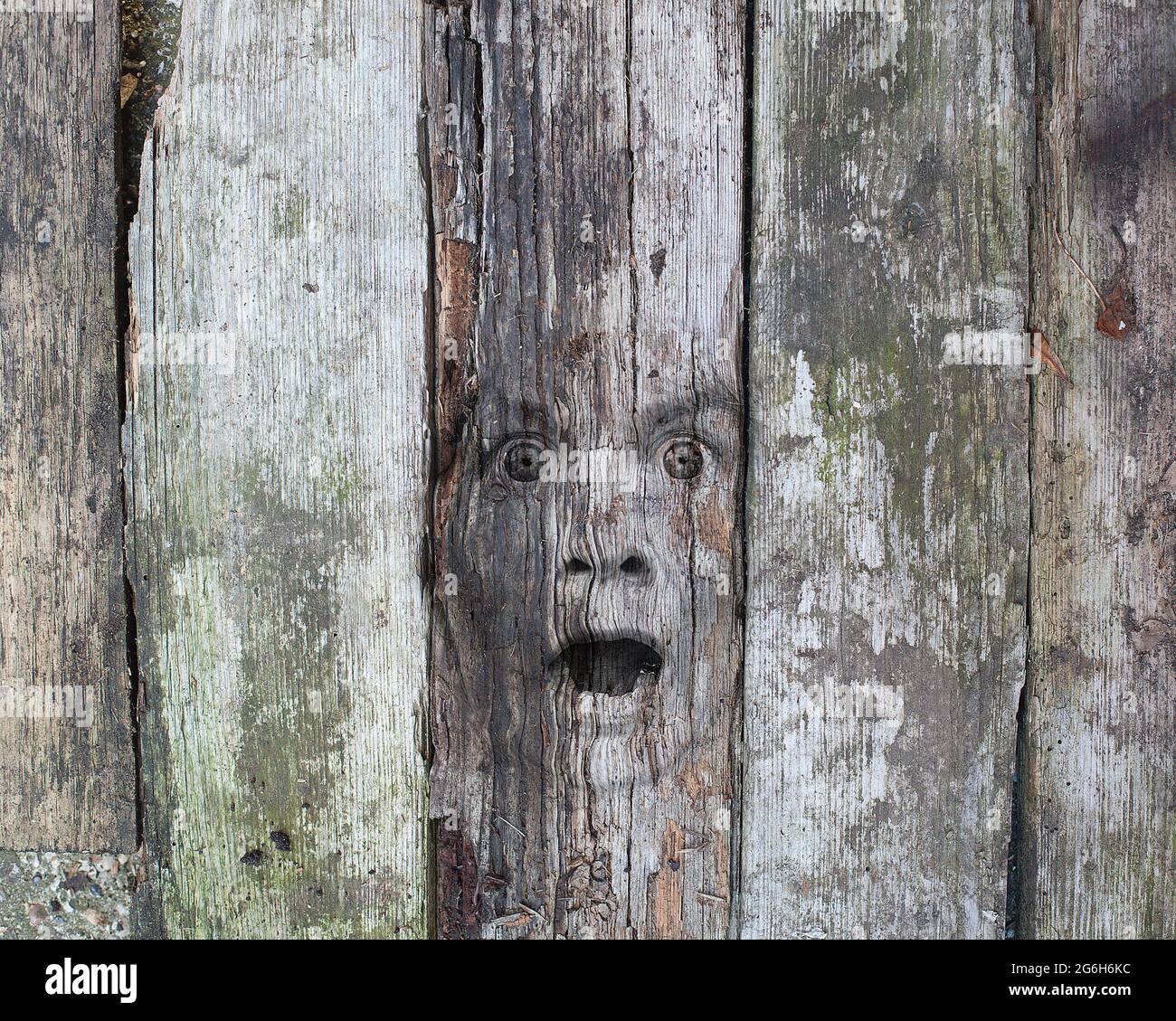 Face in a wooden panel hi-res stock photography and images - Alamy