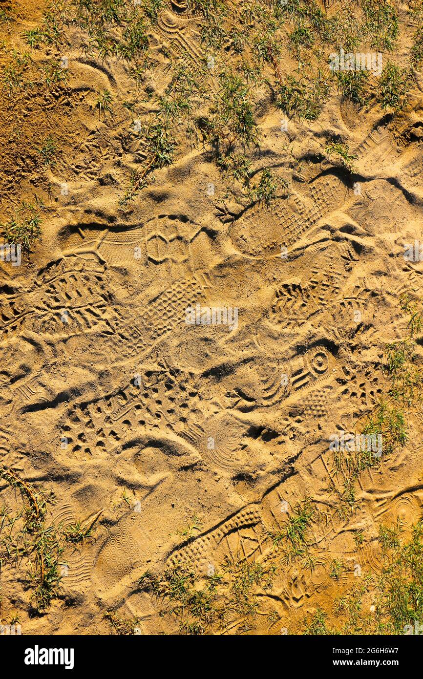 Shoe and trainer shoe footprints in dry sand seen from above in morning ...