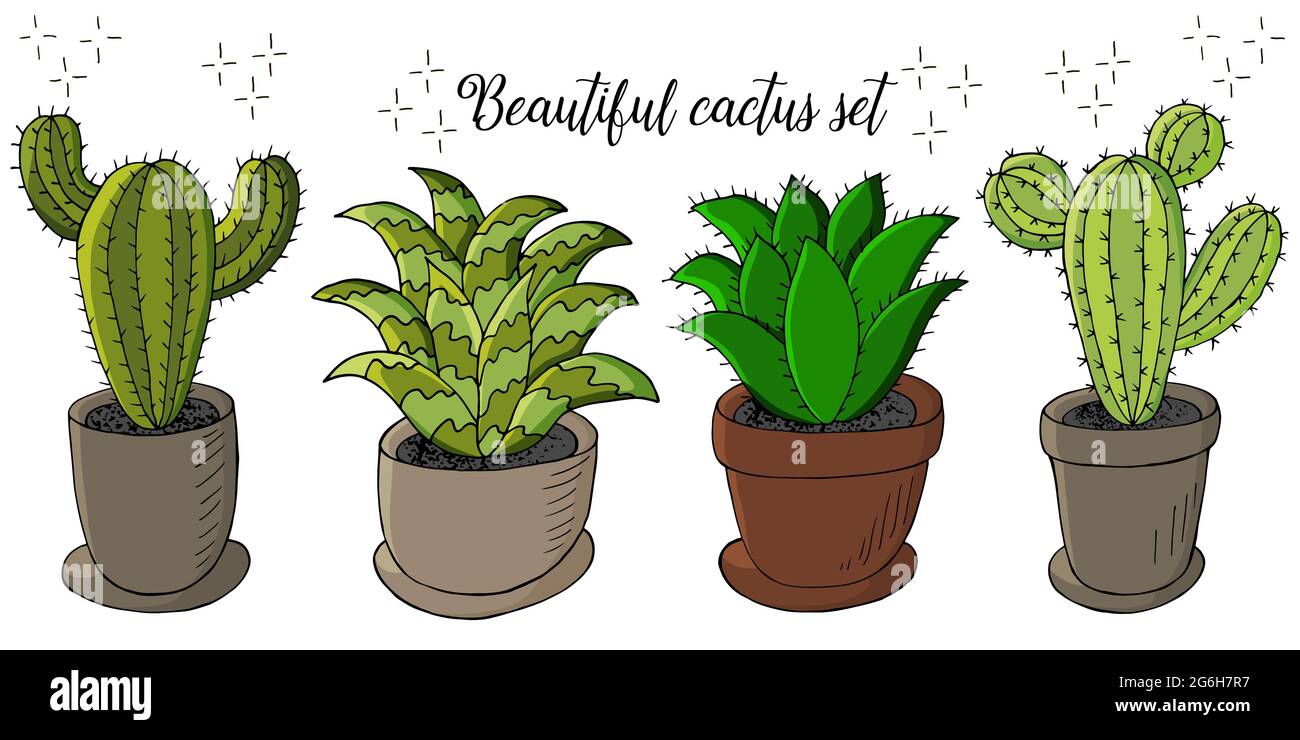 Cute vector illustration. Set of cartoon images of cacti in flower pots ...
