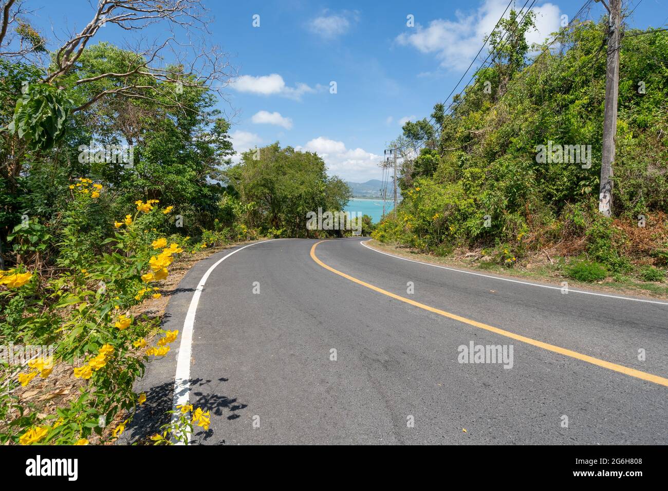 The asphalt road around the phuket island in Summer season beautiful ...
