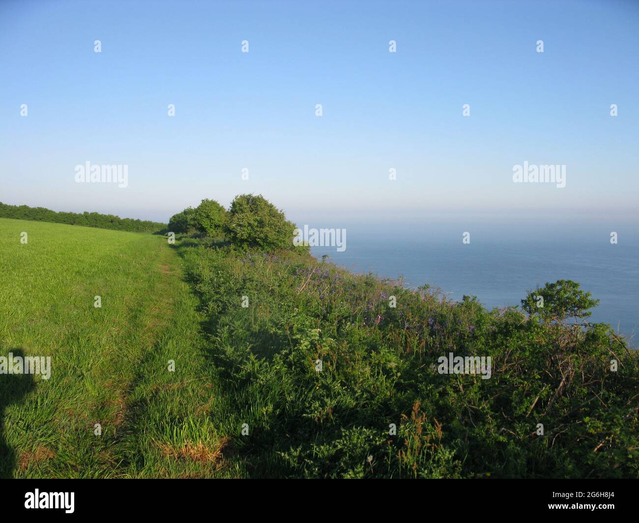 South west coast path. North Devon. West country. England. UK Stock ...
