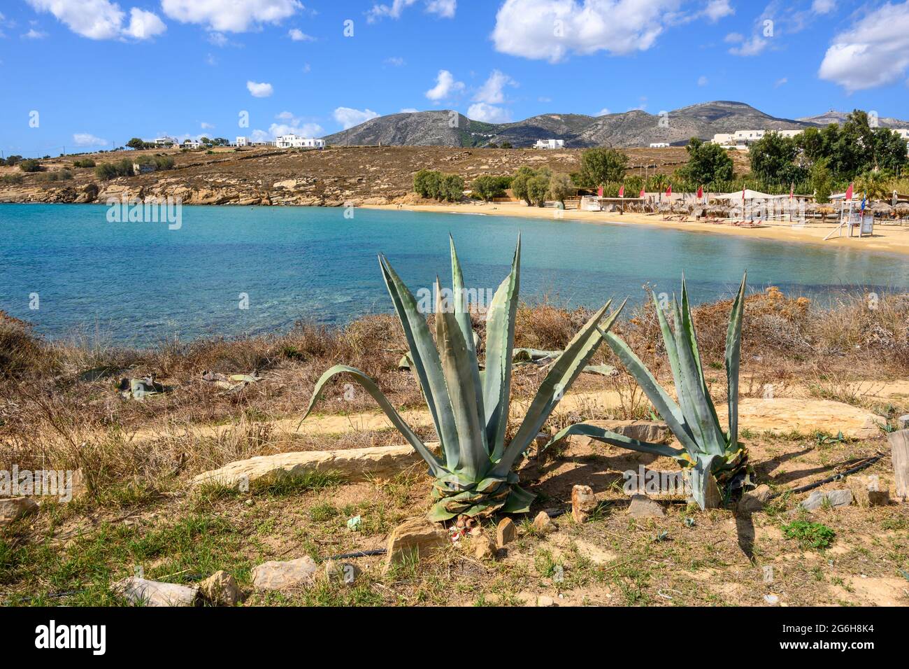 Punda Beach Paros, one of the popular Paros beaches located at the east ...