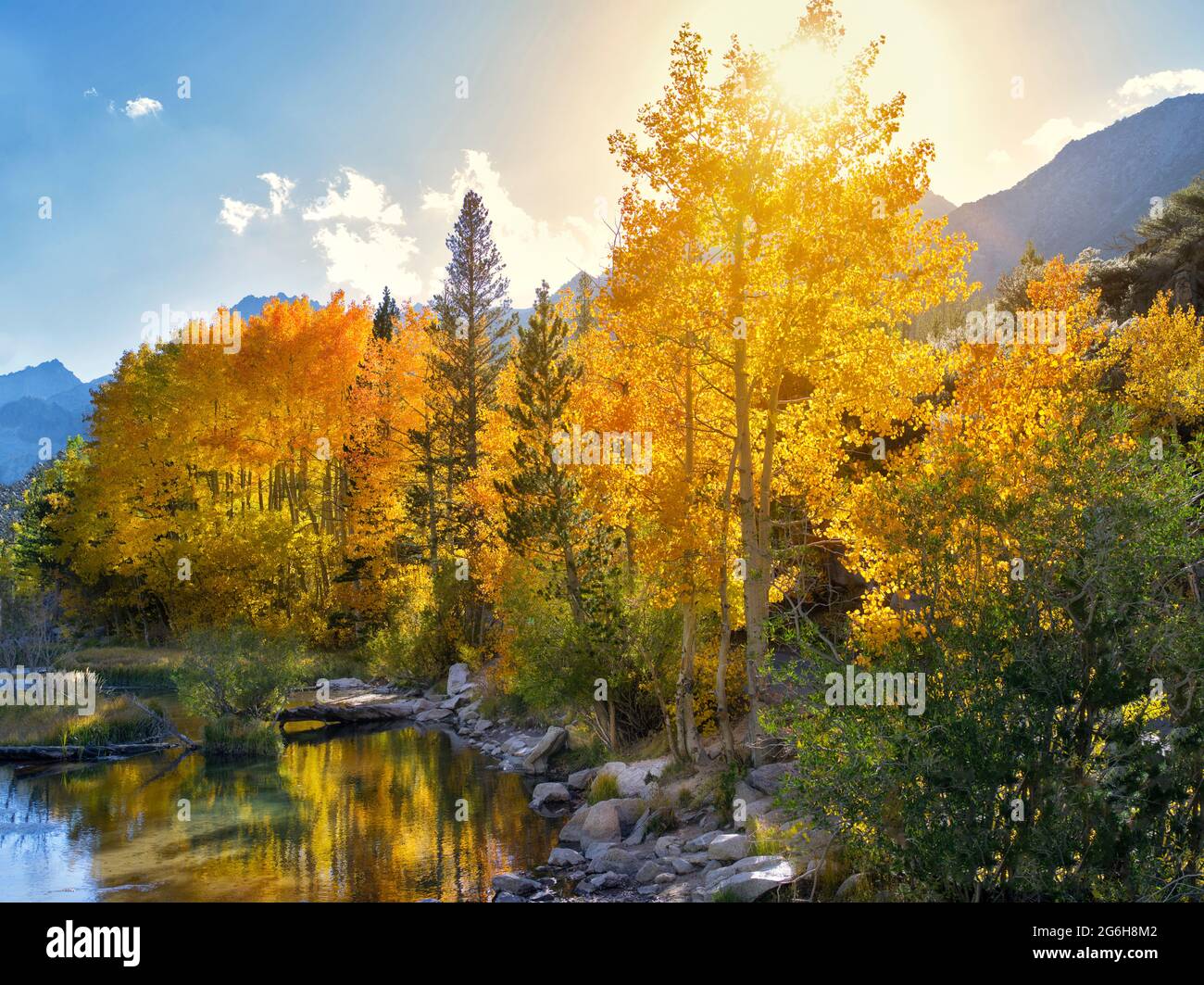 Aspen brooks hi-res stock photography and images - Alamy
