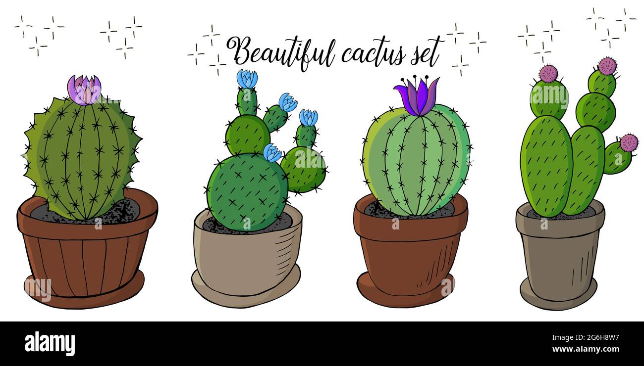 Set of cartoon images of cacti in flower pots. Cacti, aloe, succulents ...