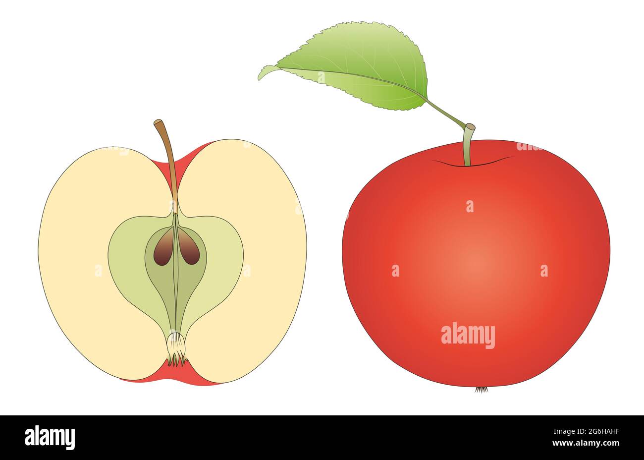 Apple Pipe Diagram