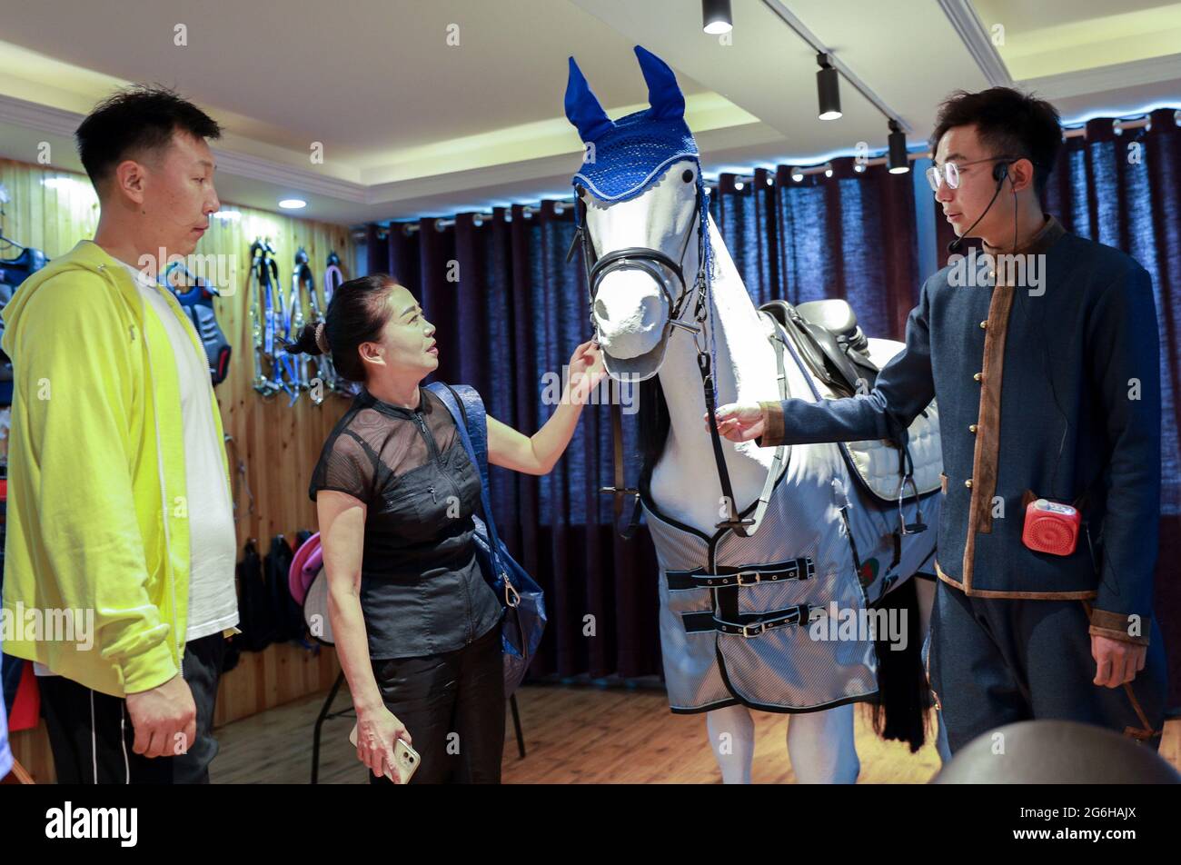 Inner Mongolia horse culture and art exhibition launched in Hohhot city ...