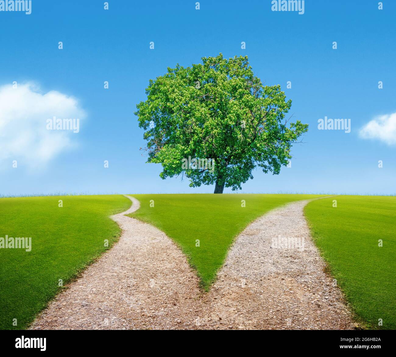 fork in the road choice concept Stock Photo - Alamy