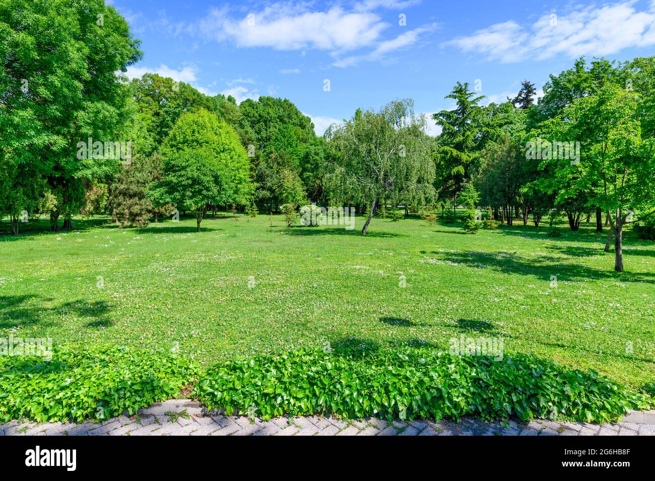 backyard and garden with spring trees and grass on lawn Stock Photo - Alamy