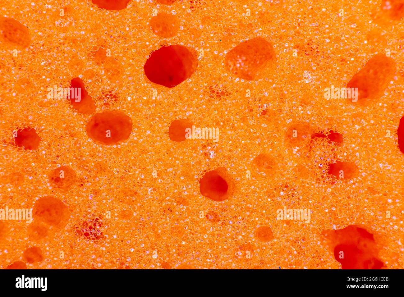 Orange sponge texture. Porous sponge close-up. Macro sponge texture ...